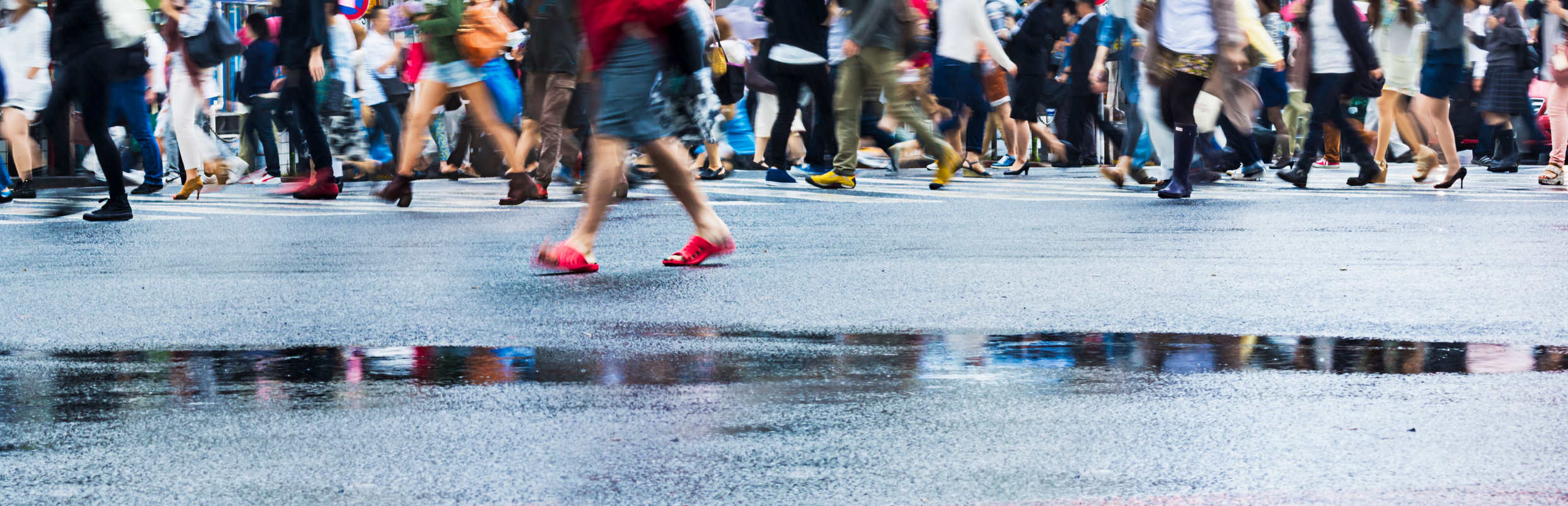 America’s Social Mirror: 2024 GSS Continues Five Decades of Tracking ...