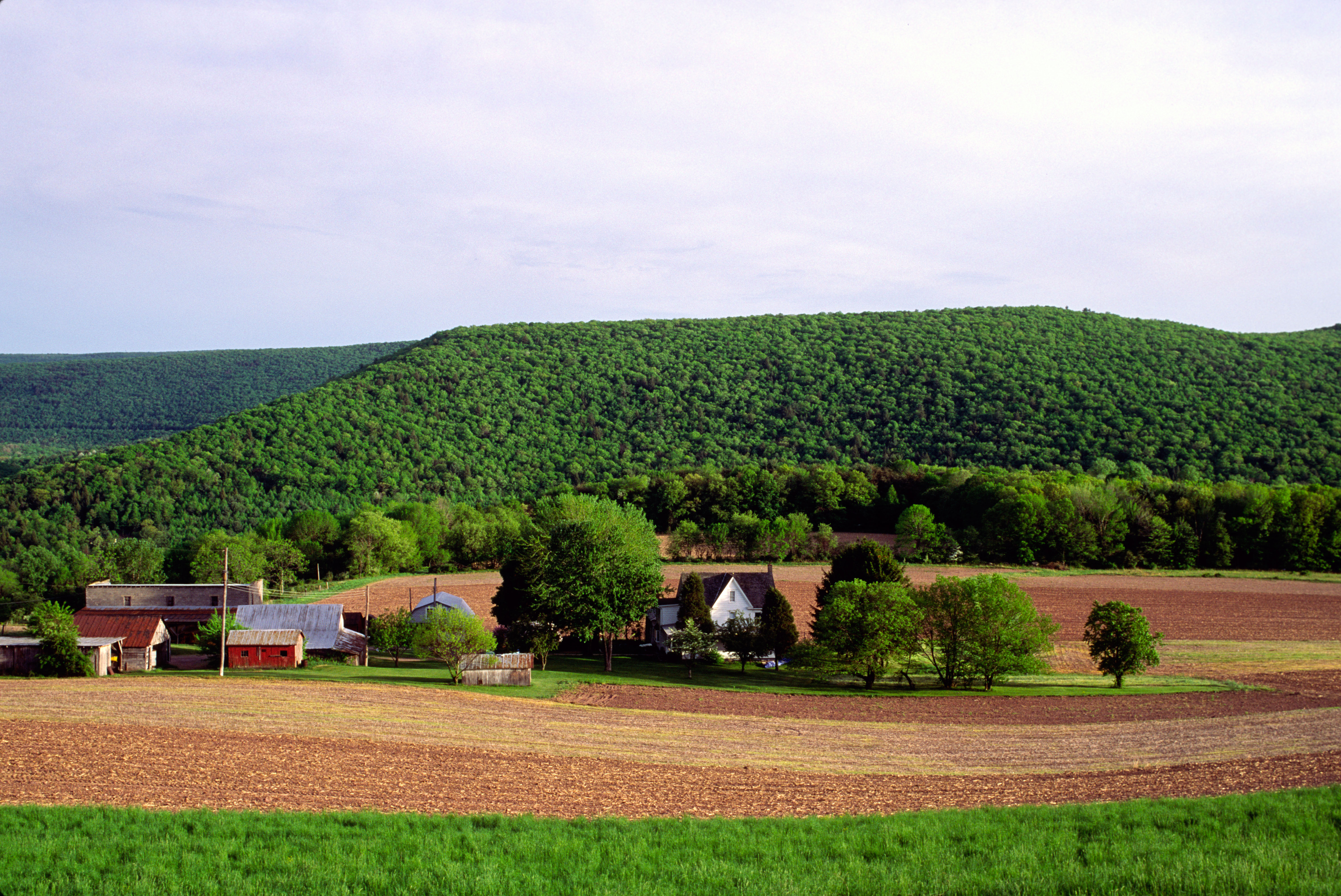 Evaluation of the Pennsylvania Rural Health Model | NORC at the ...