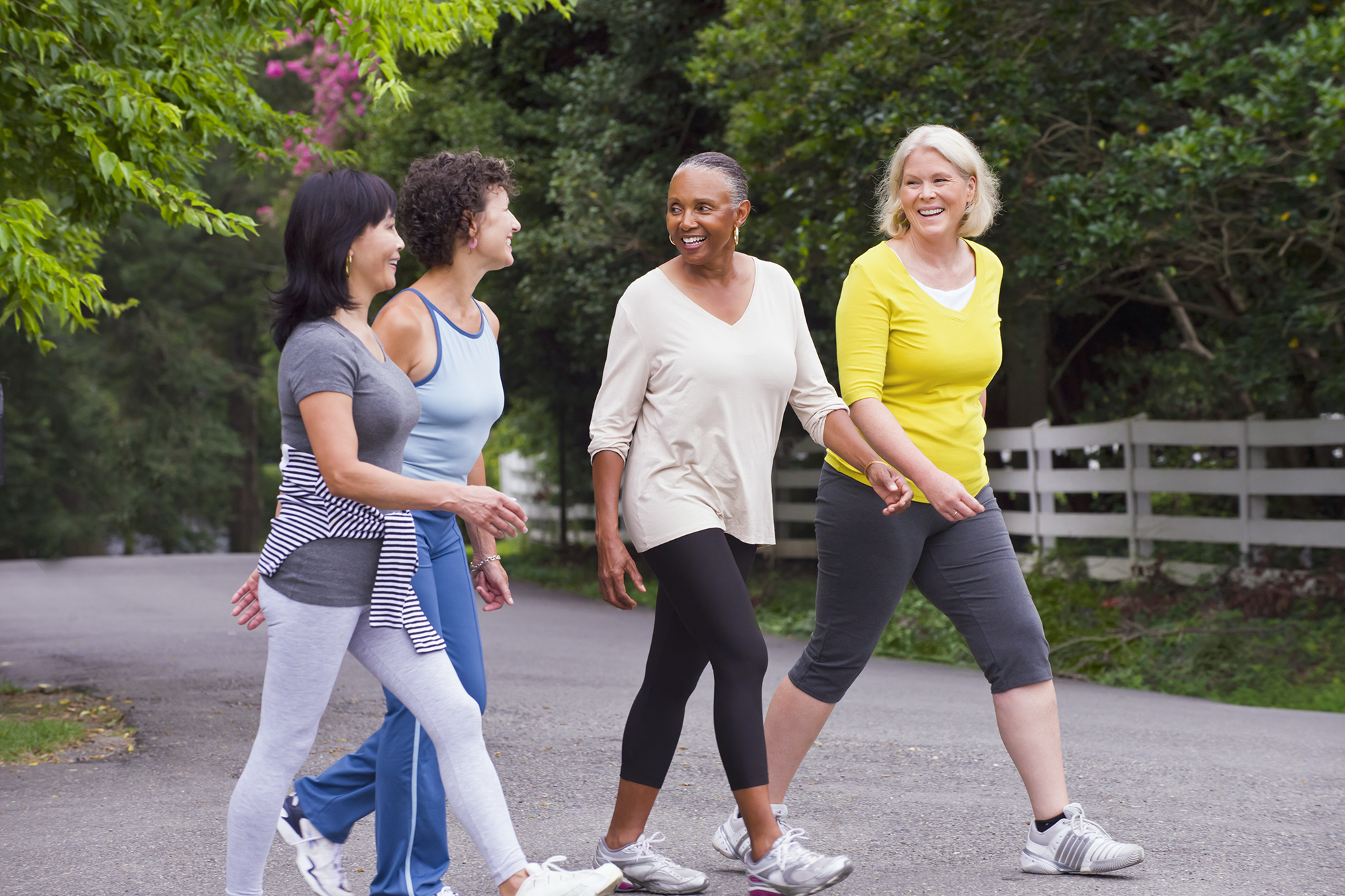 Mapping Social Connectedness Across the Chicago Area | NORC at the ...