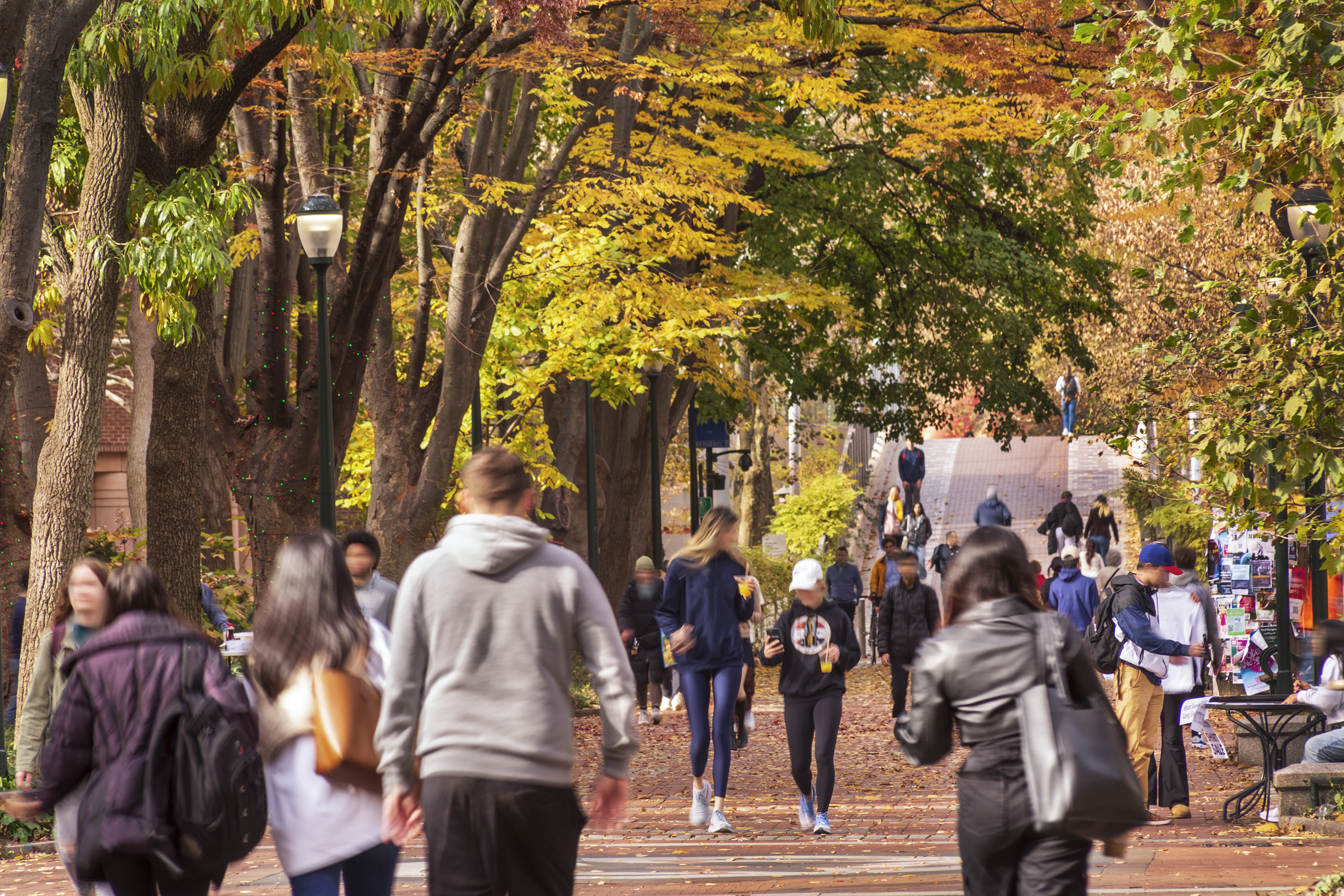 NAMI on Campus | NORC at the University of Chicago