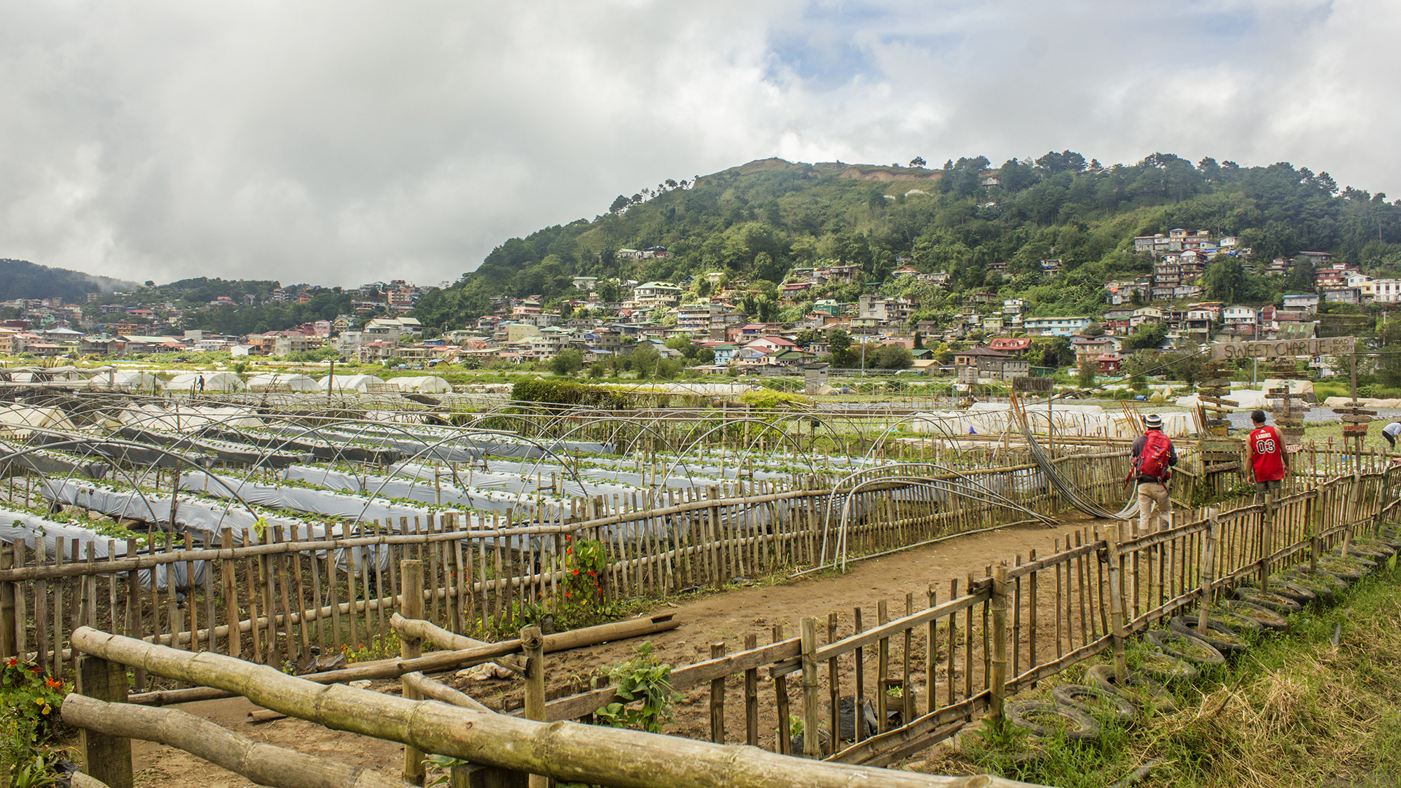 Philippines Community-Driven Development Program Evaluation | NORC at ...